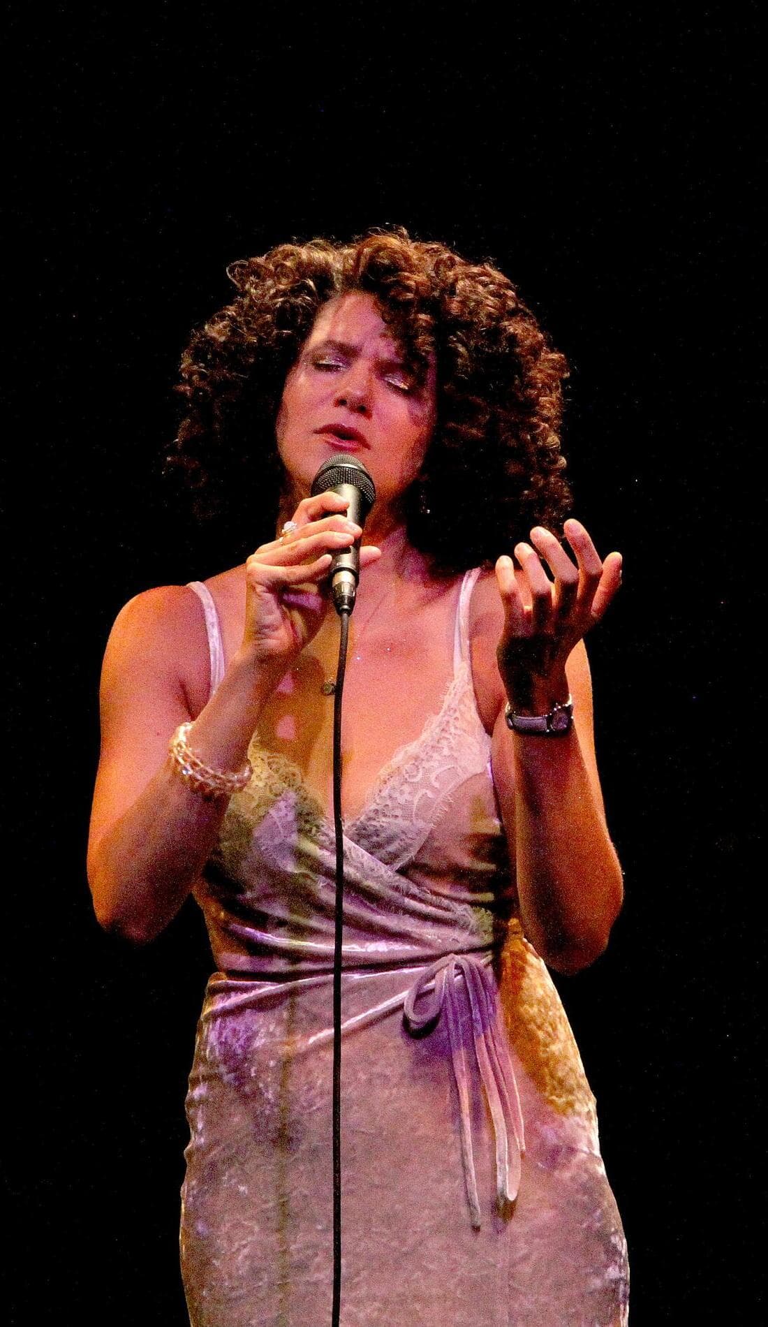 Cyrille Aimee Concert Parking Passes | SeatGeek