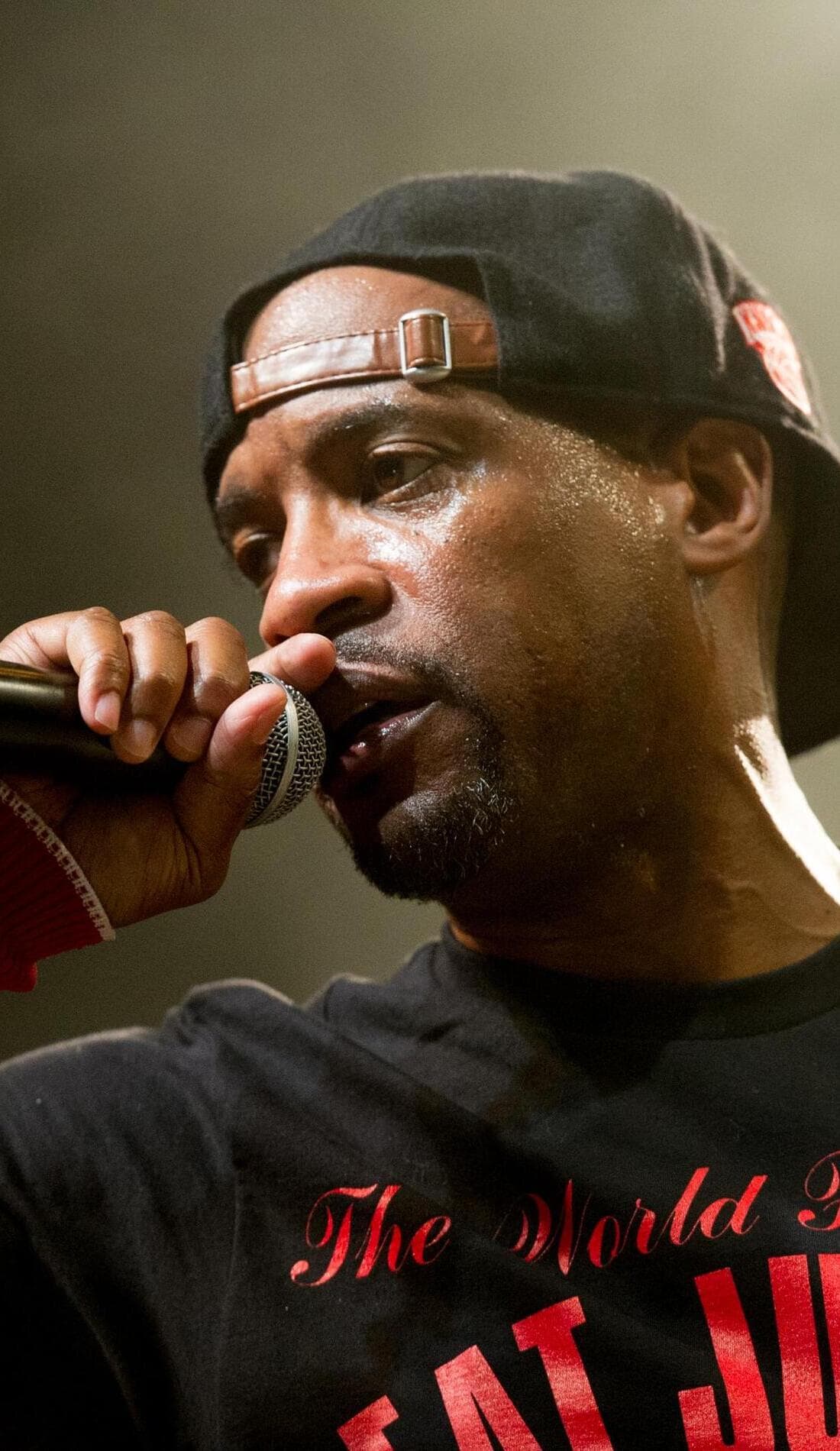 Masta Ace Concert Tickets, 2024 Tour Dates & Locations | SeatGeek
