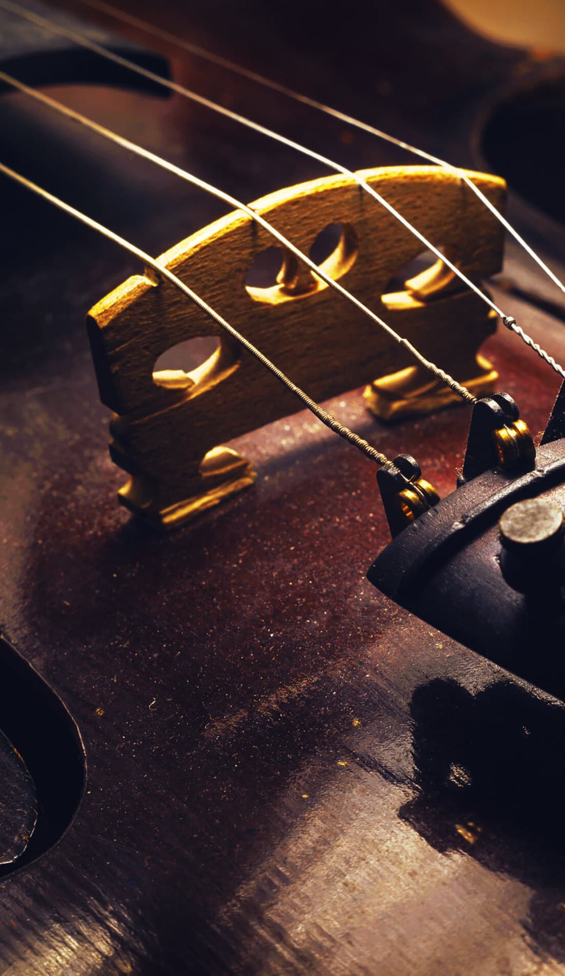 Rumi Symphony Project Tickets, 2024 Showtimes & Locations | SeatGeek