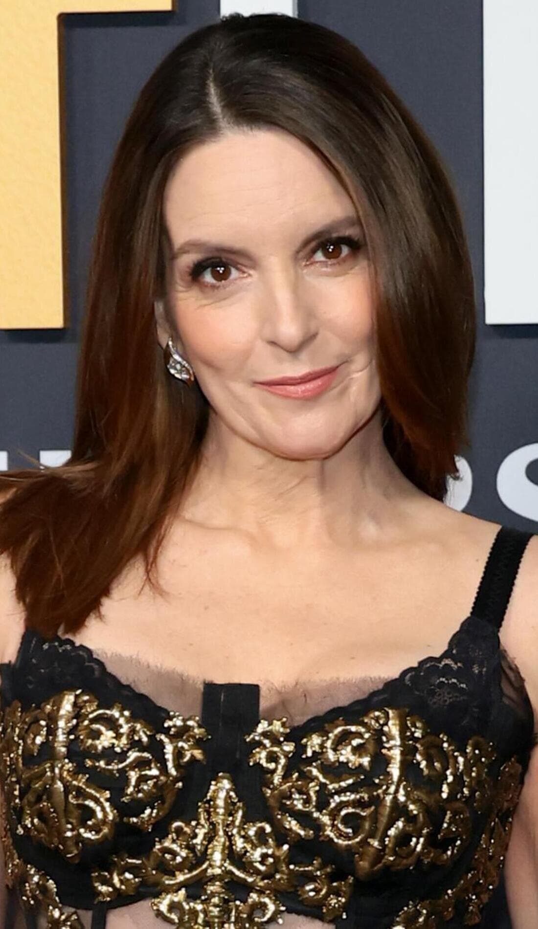 Tina Fey Tickets, 2024 Showtimes & Locations | SeatGeek