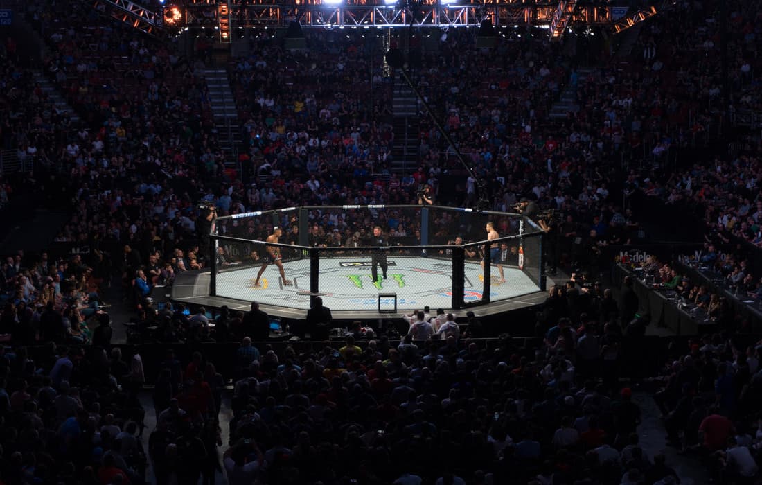 Professional Fighting, UFC, MMA Tickets & 2024 Matchup Schedules | SeatGeek