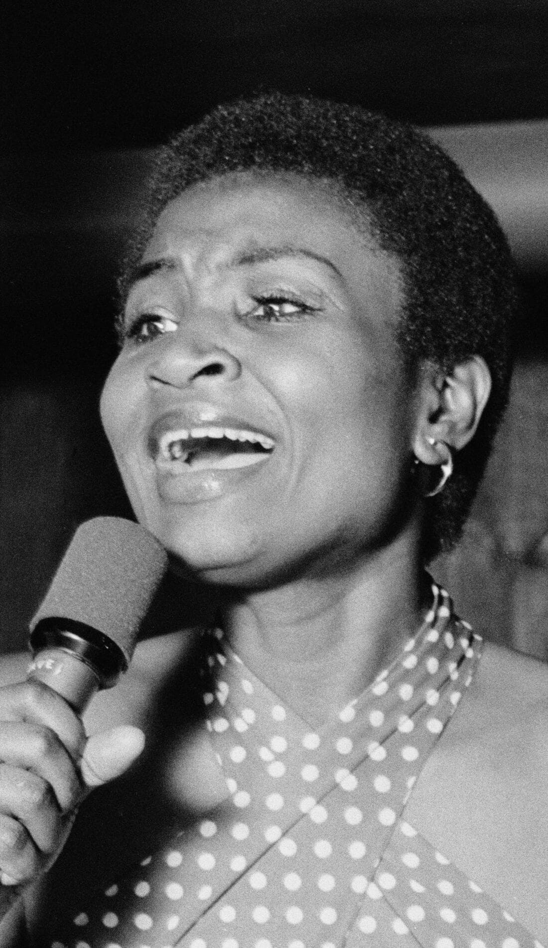 Viola Wills Concert Tickets, 2024 Tour Dates & Locations | SeatGeek